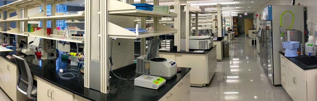 JOB & INTERNSHIP OPPORTUNITIES | Shirley Ryan AbilityLab