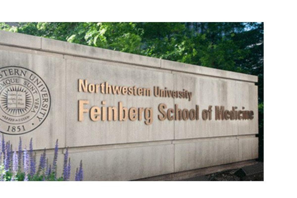 Feinberg Post-Doctoral Fellowships Bring Healthcare Expertise to ...