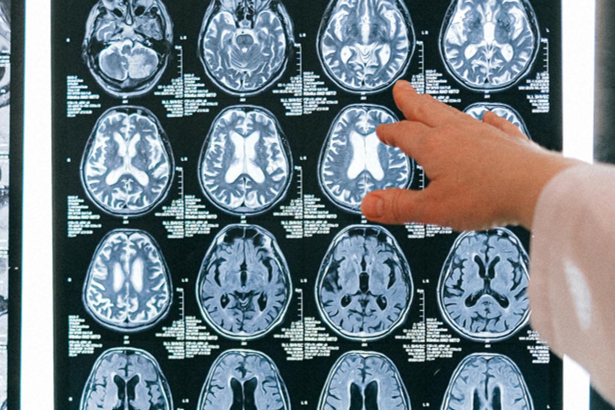 Twitter Headers Brain