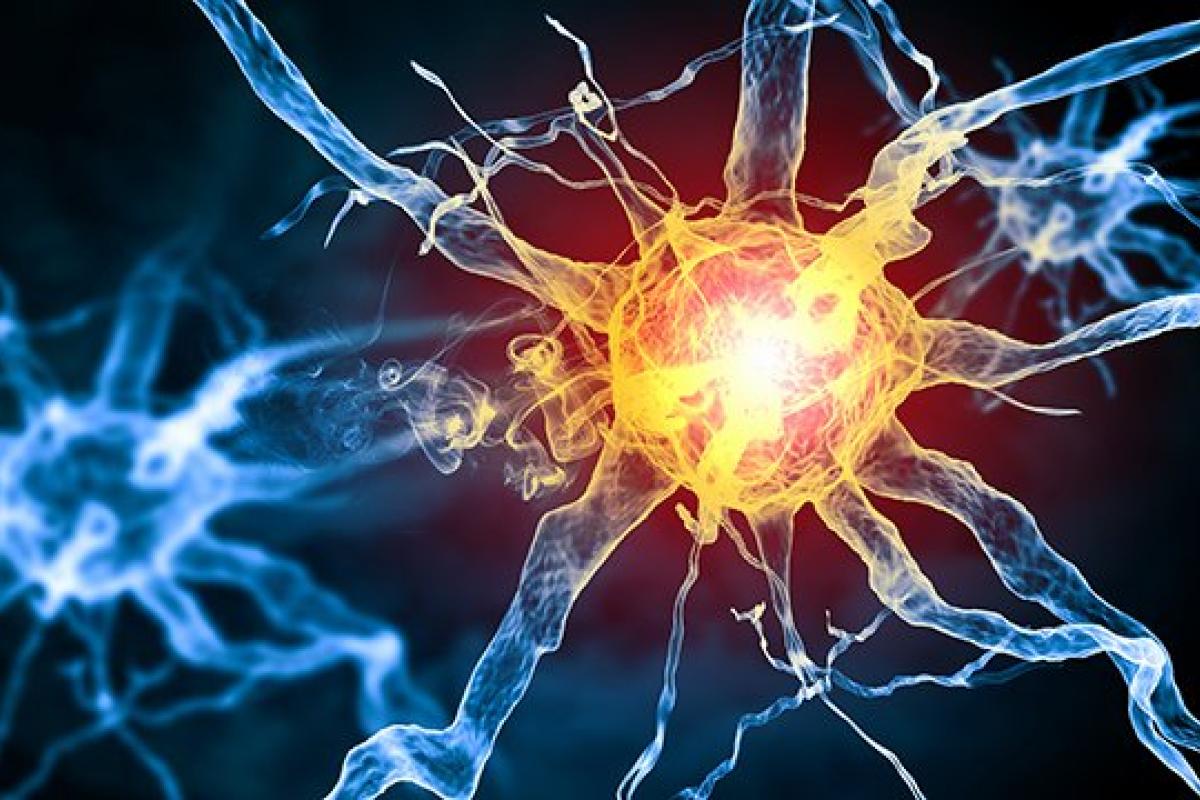 Guillain-Barré Syndrome Resources