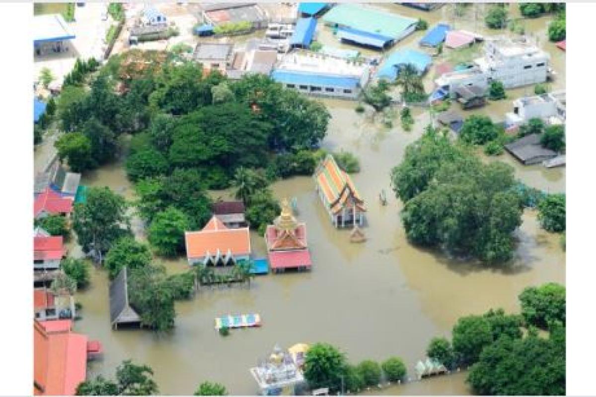 Advocates push for inclusive emergency response planning as natural ...